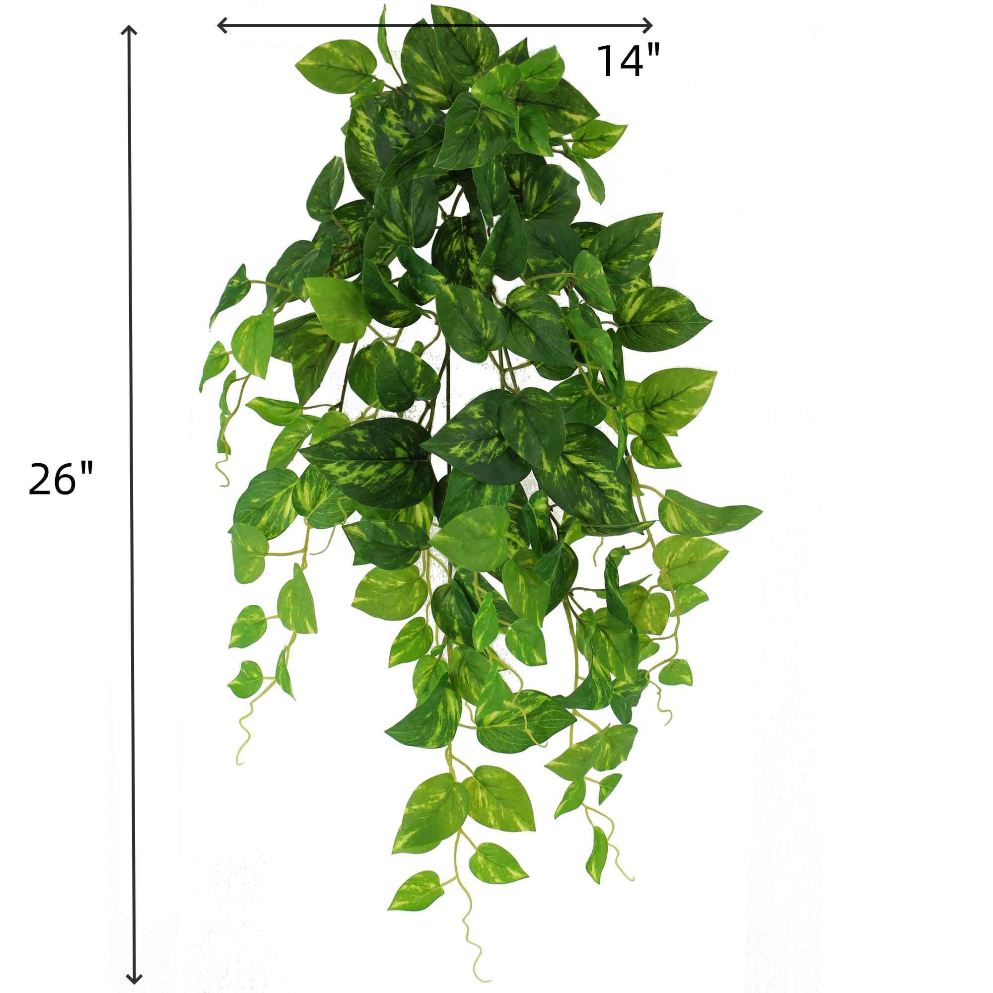 Artificial Pothos Plant: Hanging Green Scindapsus Leaves, 26" Long - Etsy