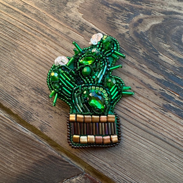 Cactus Pin - Etsy