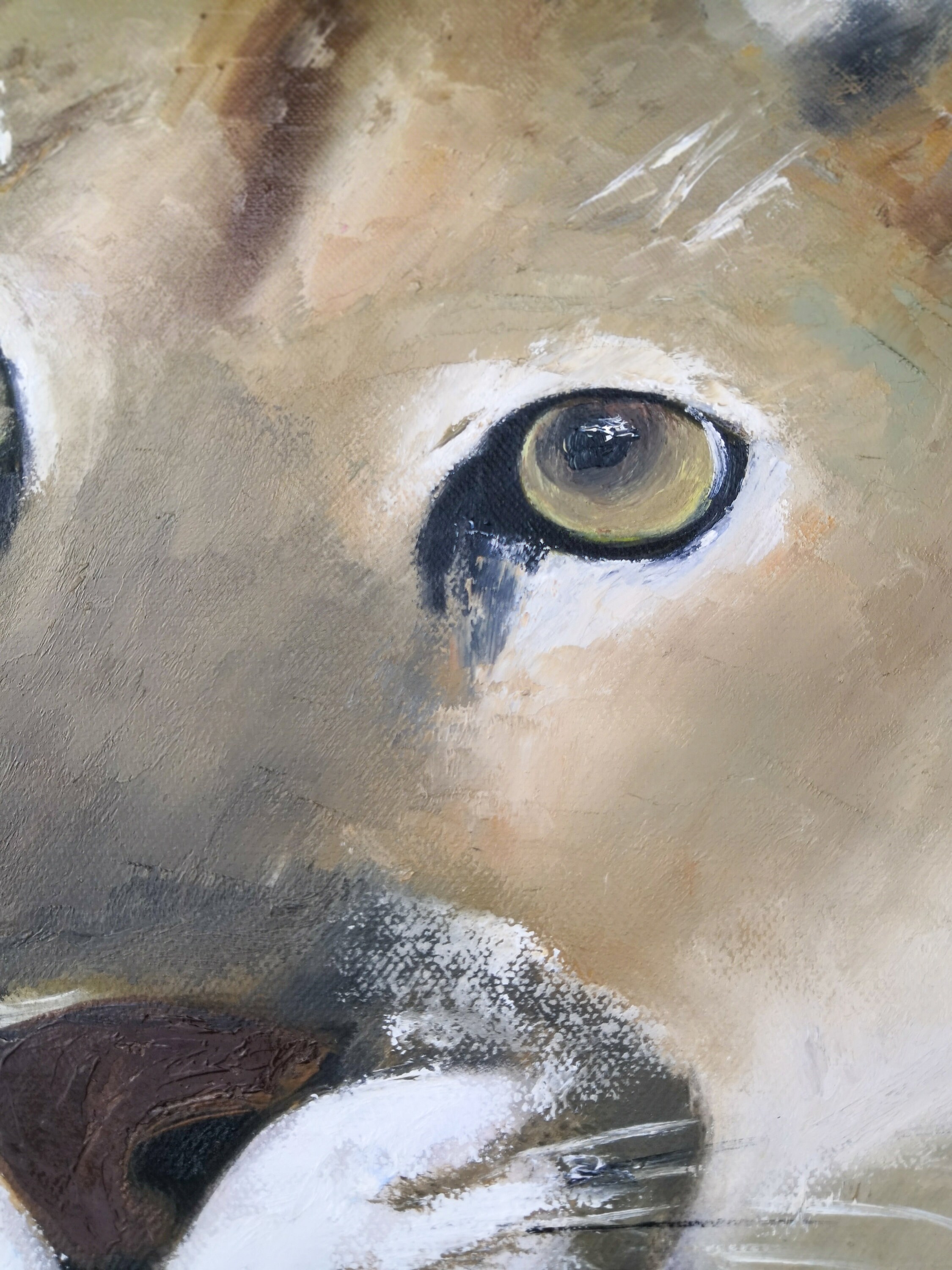 Cougar Painting Puma Oil Art Original Artwork Animal Portrait | Etsy