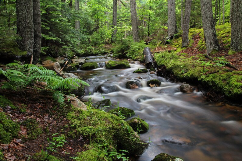 Flowing Brook - Etsy