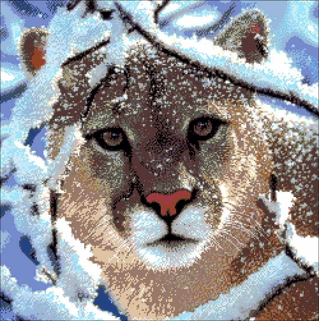 Puma Bead Embroidery Kit: Full Coverage Aida Canvas (18.1” X 18.1″) - Etsy