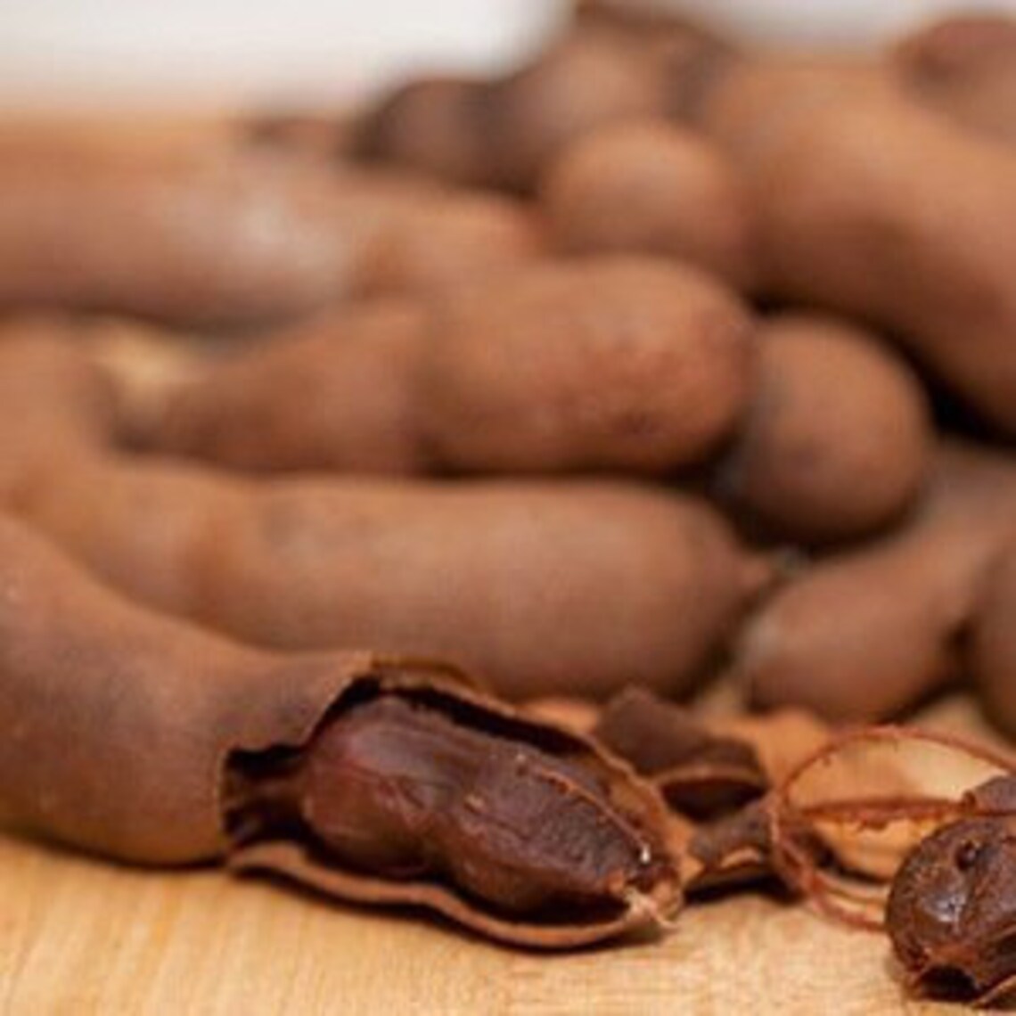 Tamarind Seed Pods tamarindo Fresh Culinary Spice Herb for - Etsy Denmark