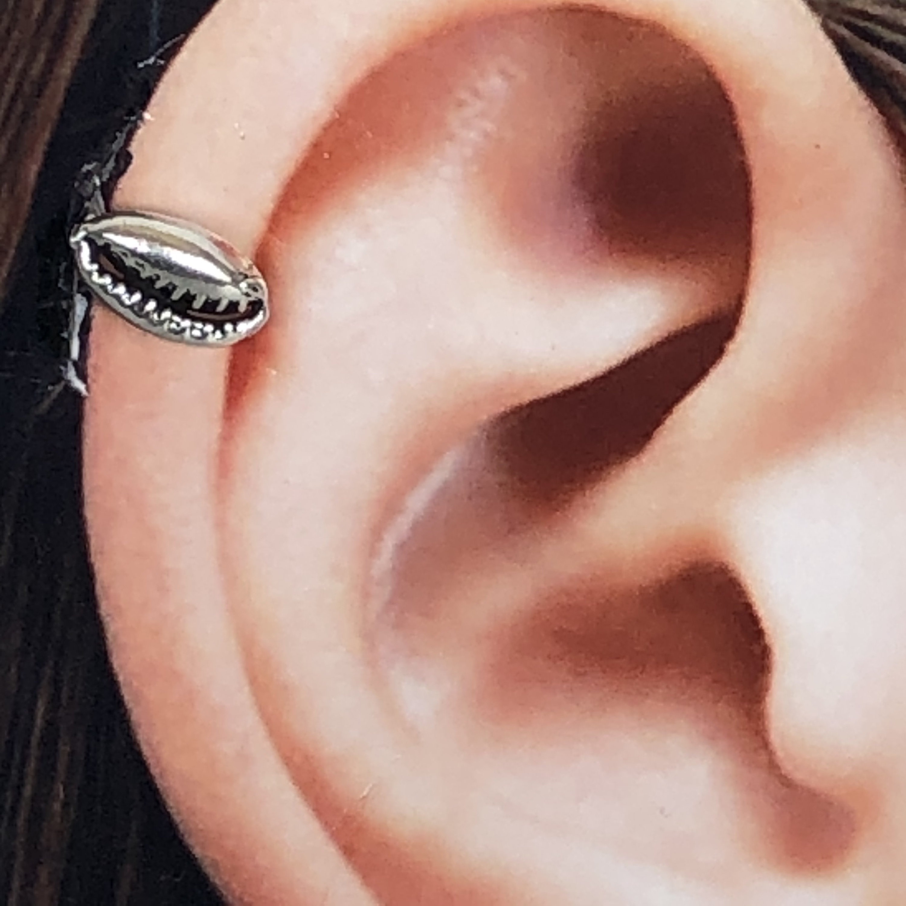 Cowrie Shell Ear Cuff Sterling Silver Shell Ear Clip No - Etsy UK