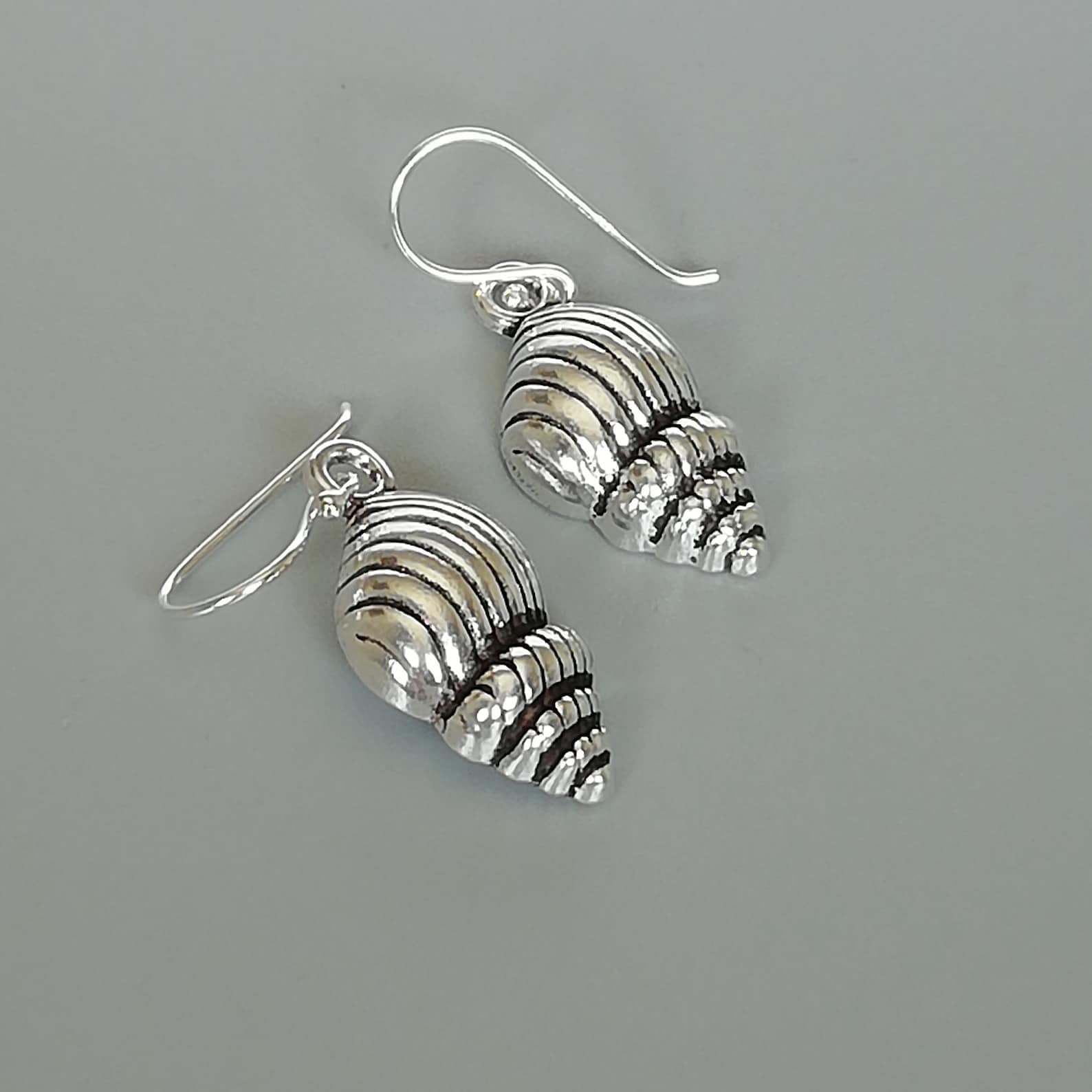 Sea shell earring Conch shell silver danglers Silver | Etsy