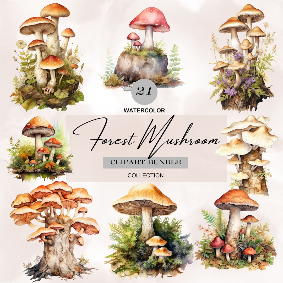 Watercolor Forest Mushroom Png,woodland Mushrooms Clipart,woodland ...