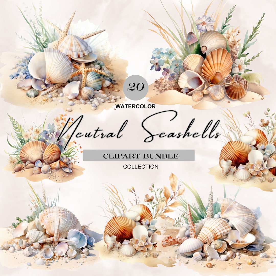 Watercolor Seashells Clipart,under the Sea Png,seashells Png,seashell ...