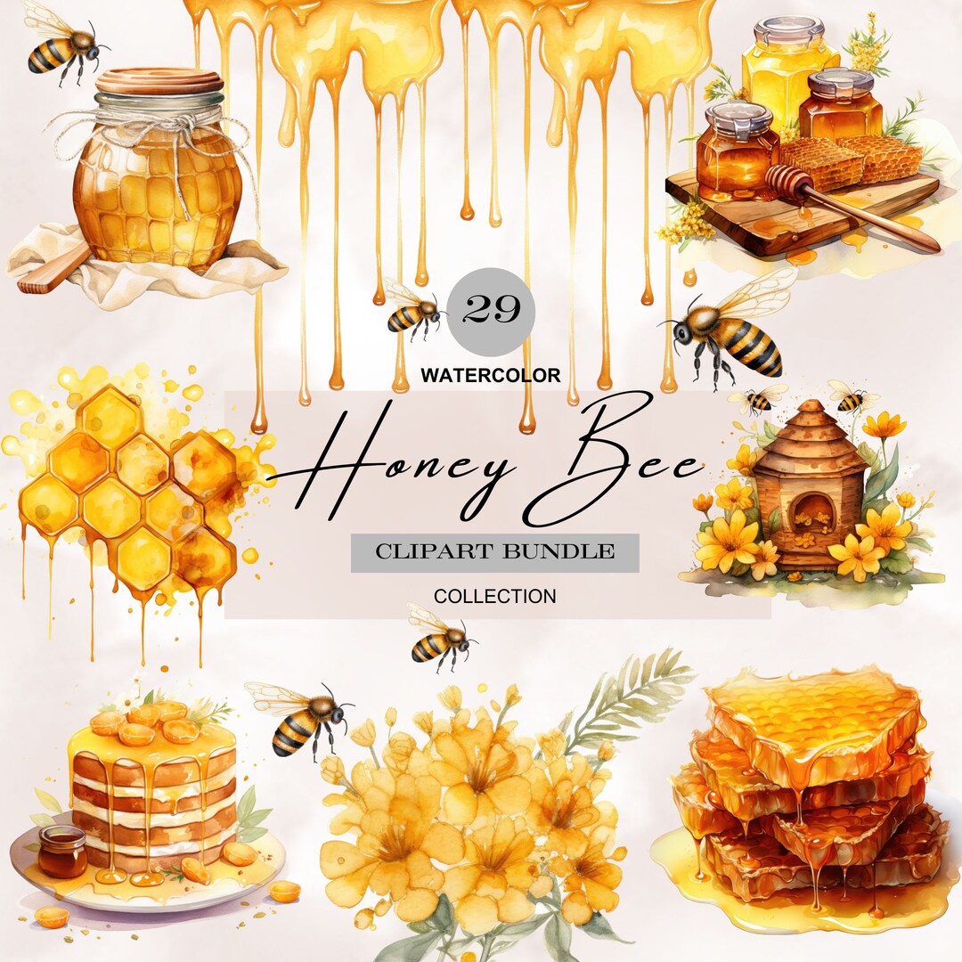 Bee Clipart Watercolor,floral Bee Png,honey Bee Clipart Bundle ...