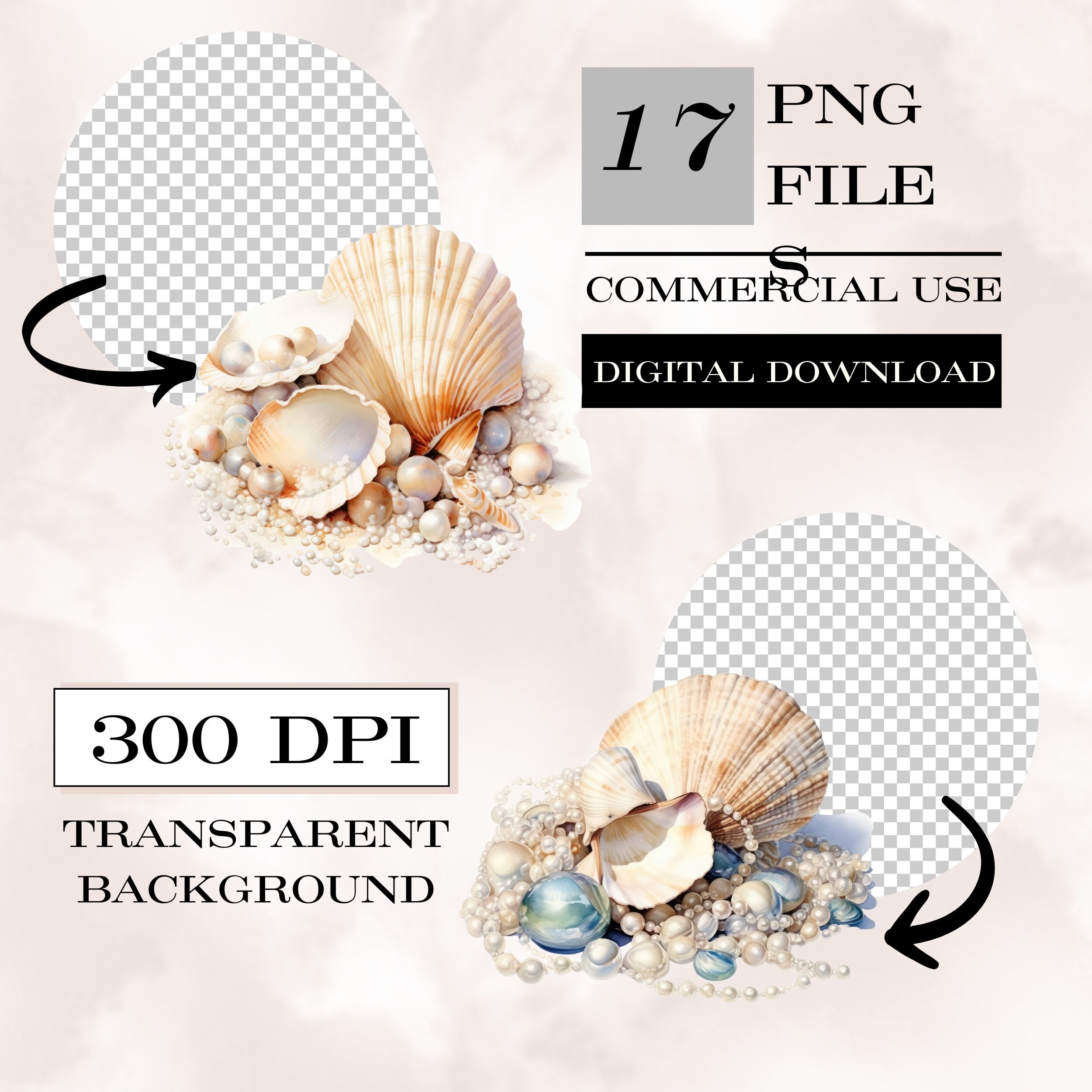 Watercolor Seashell Pearls Clipart,neutical Seashell Pearls Png,sea ...