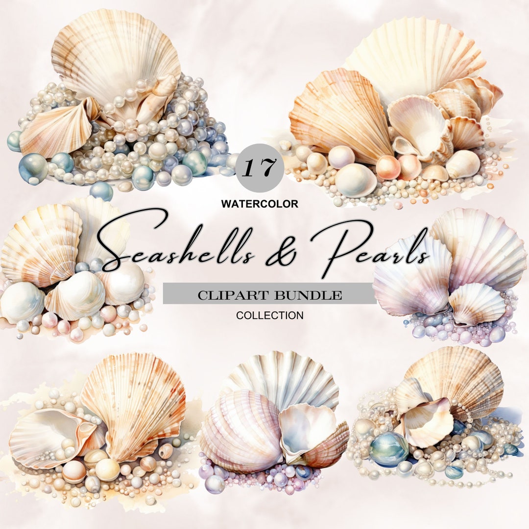 Watercolor Seashell Pearls Clipart,neutical Seashell Pearls Png,sea ...