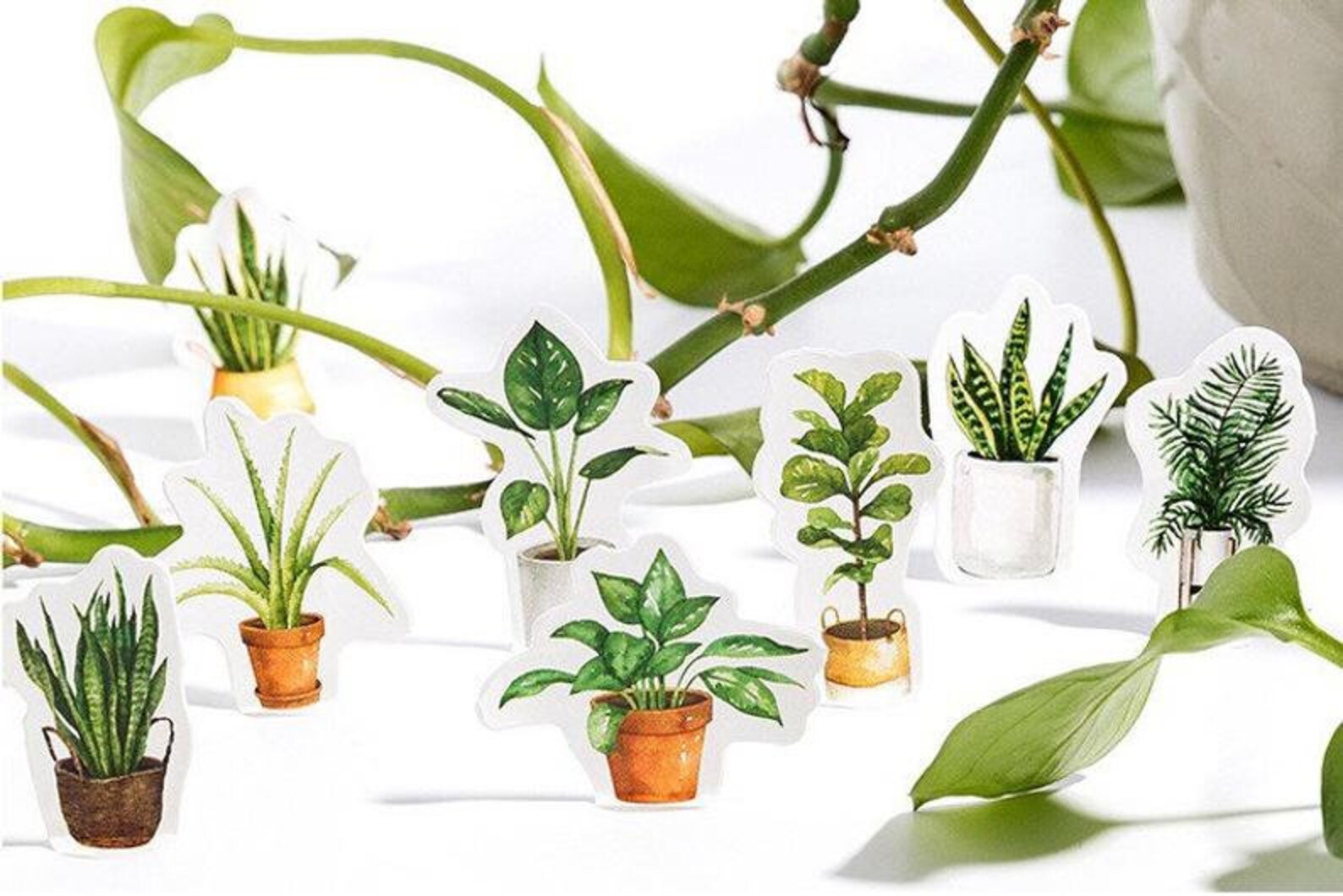 45pcs Potted Plants Stickers Pack Journalingplannerbullet - Etsy