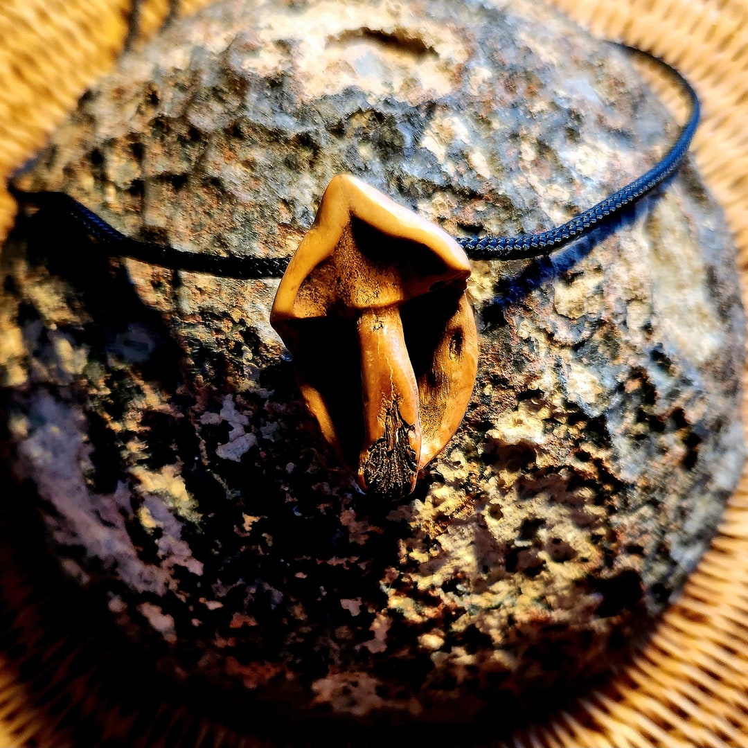 Nutkin Black Walnut Shell Mushroom Pendant, Smooth Back - Etsy