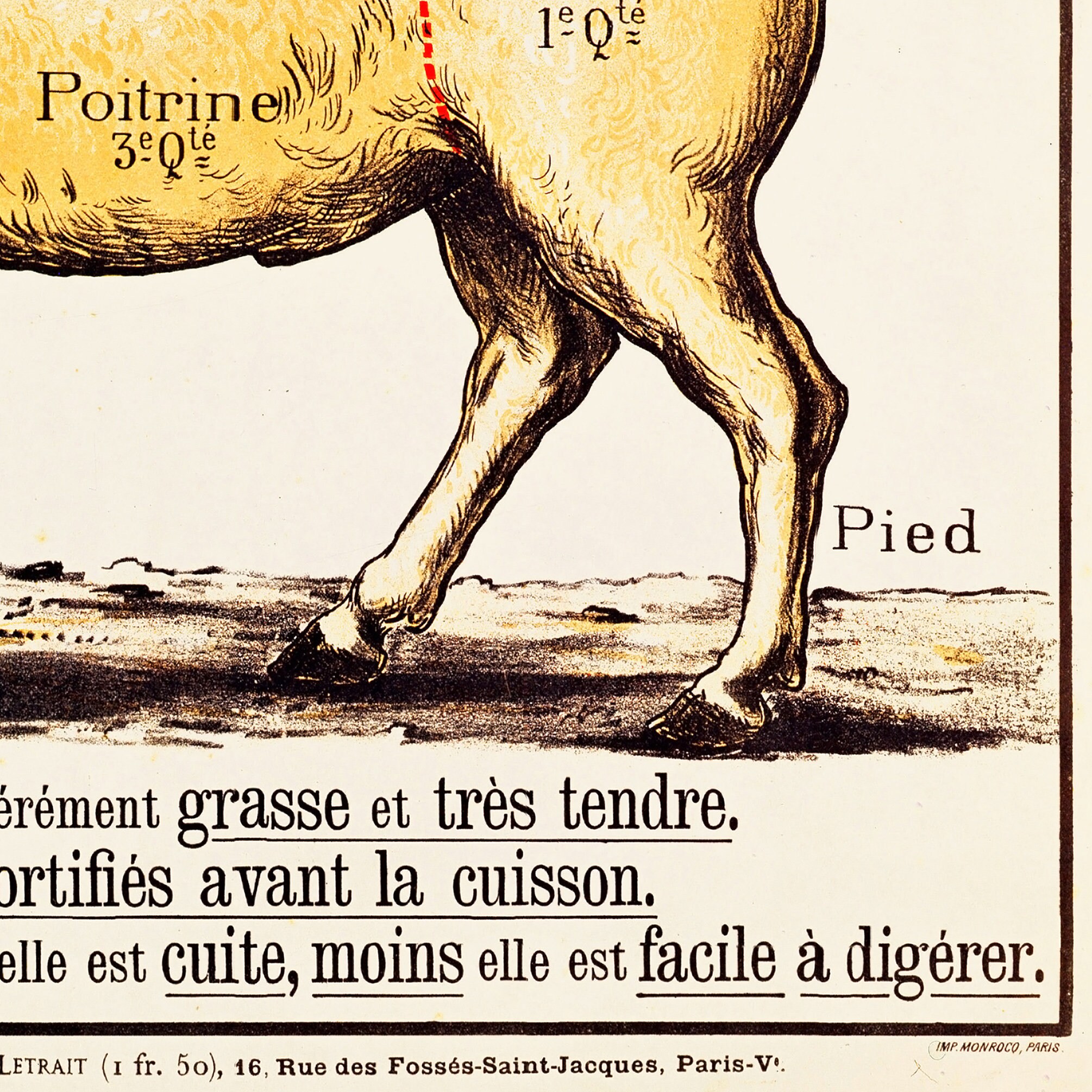 French School,mutton Drawing,art Prints,vintage Art,canvas Wall Art ...