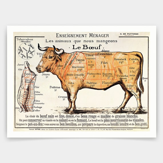 Beef Cuts Illustratedbeef Drawingart Printsvintage - Etsy