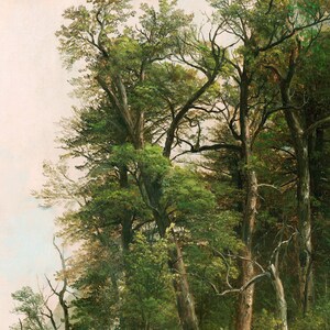 Asher Brown Durand,trees on a Rocky Hillside,art Prints,vintage Art ...