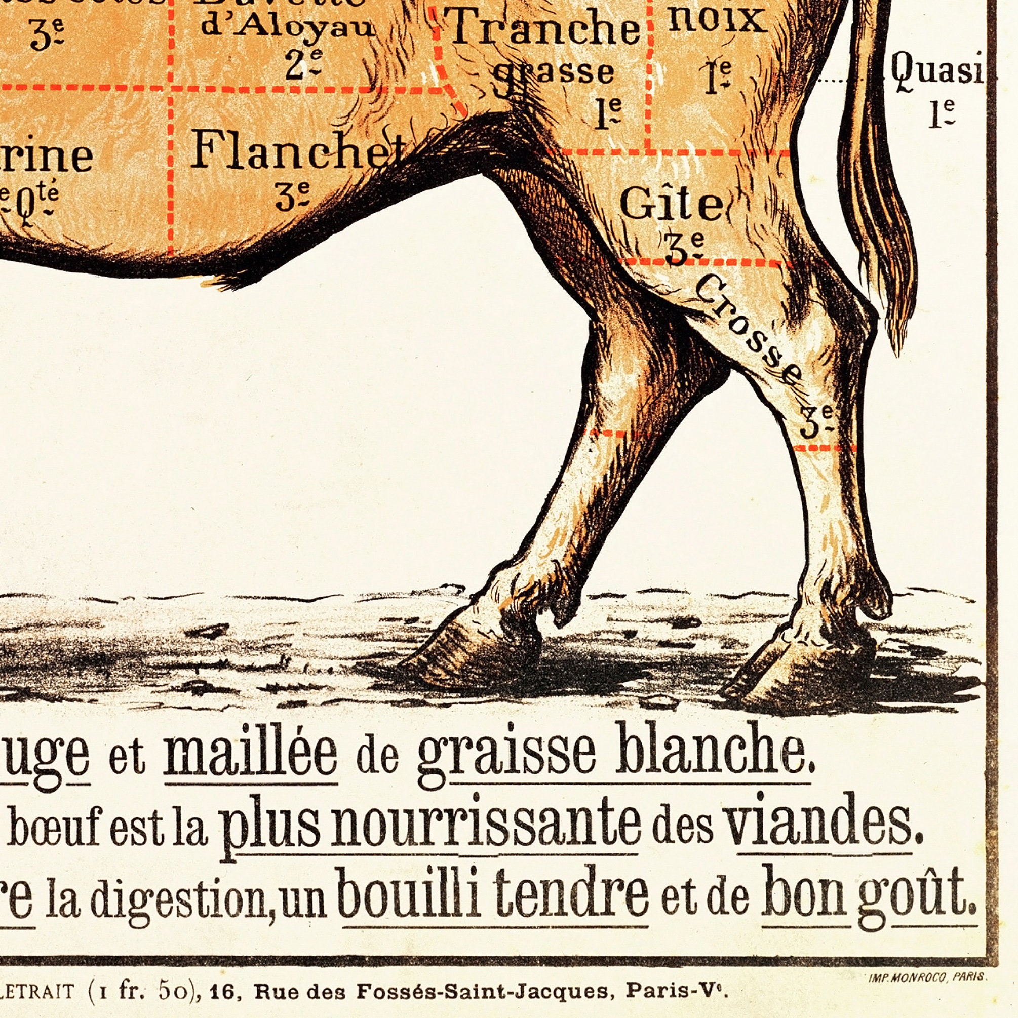 Beef Cuts Illustratedbeef Drawingart Printsvintage - Etsy