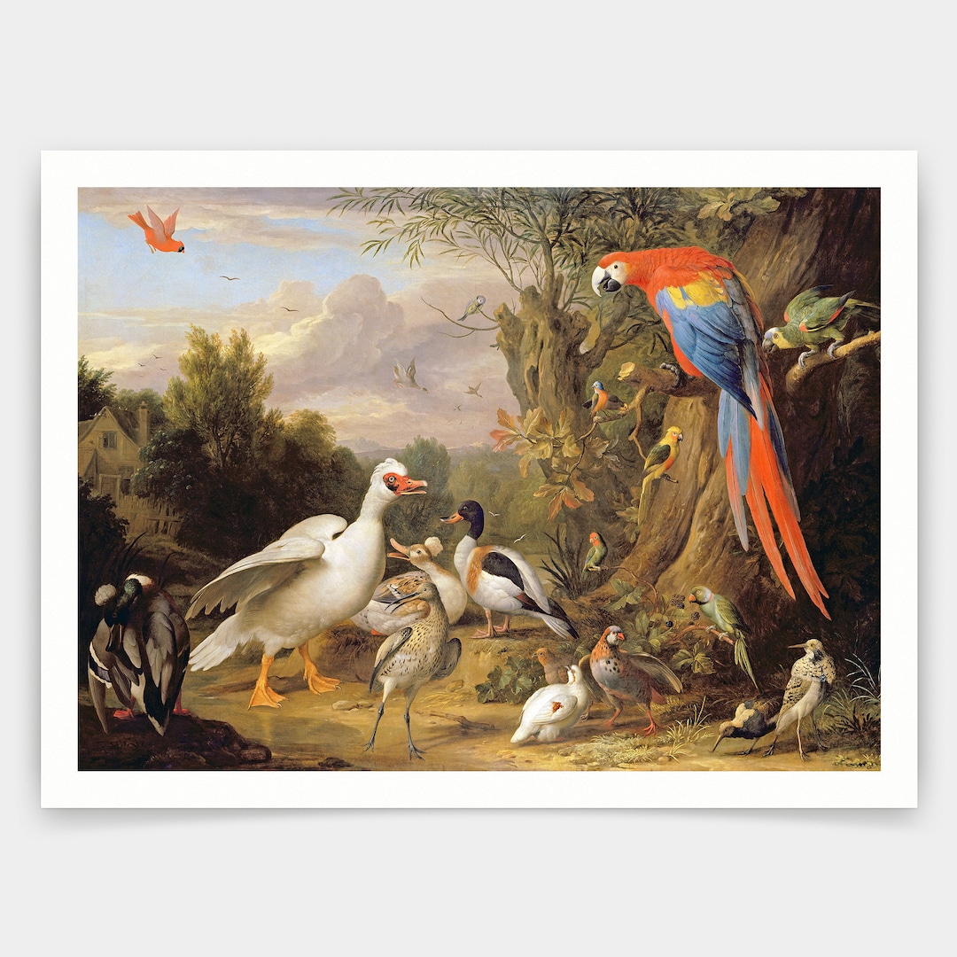 Jakob Bogdani,a Macaw - Ducks - Parrots and Other Birds in a Landscape ...