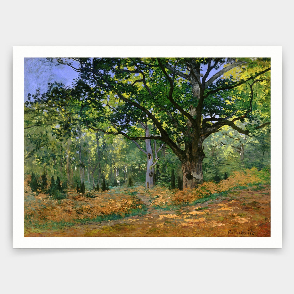 Claude Monet,bodmer Oak, Fontainebleau Forest, 1865,art Prints,vintage ...