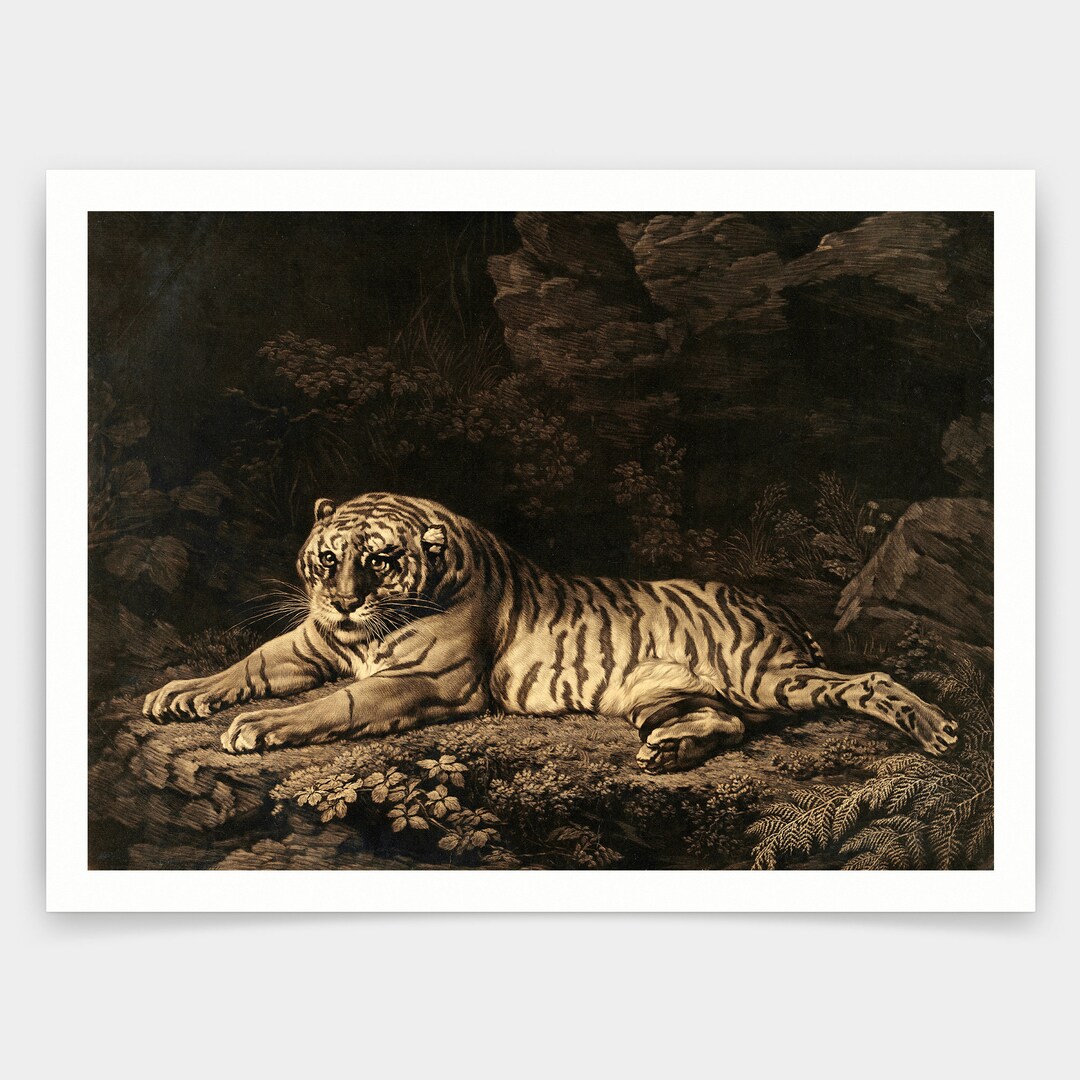George Stubbs,a Tigress, 1772,art Prints,vintage Art,canvas Wall Art ...