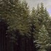 Caspar David Friedrich,early Snow,art Prints,vintage Art,canvas Wall ...