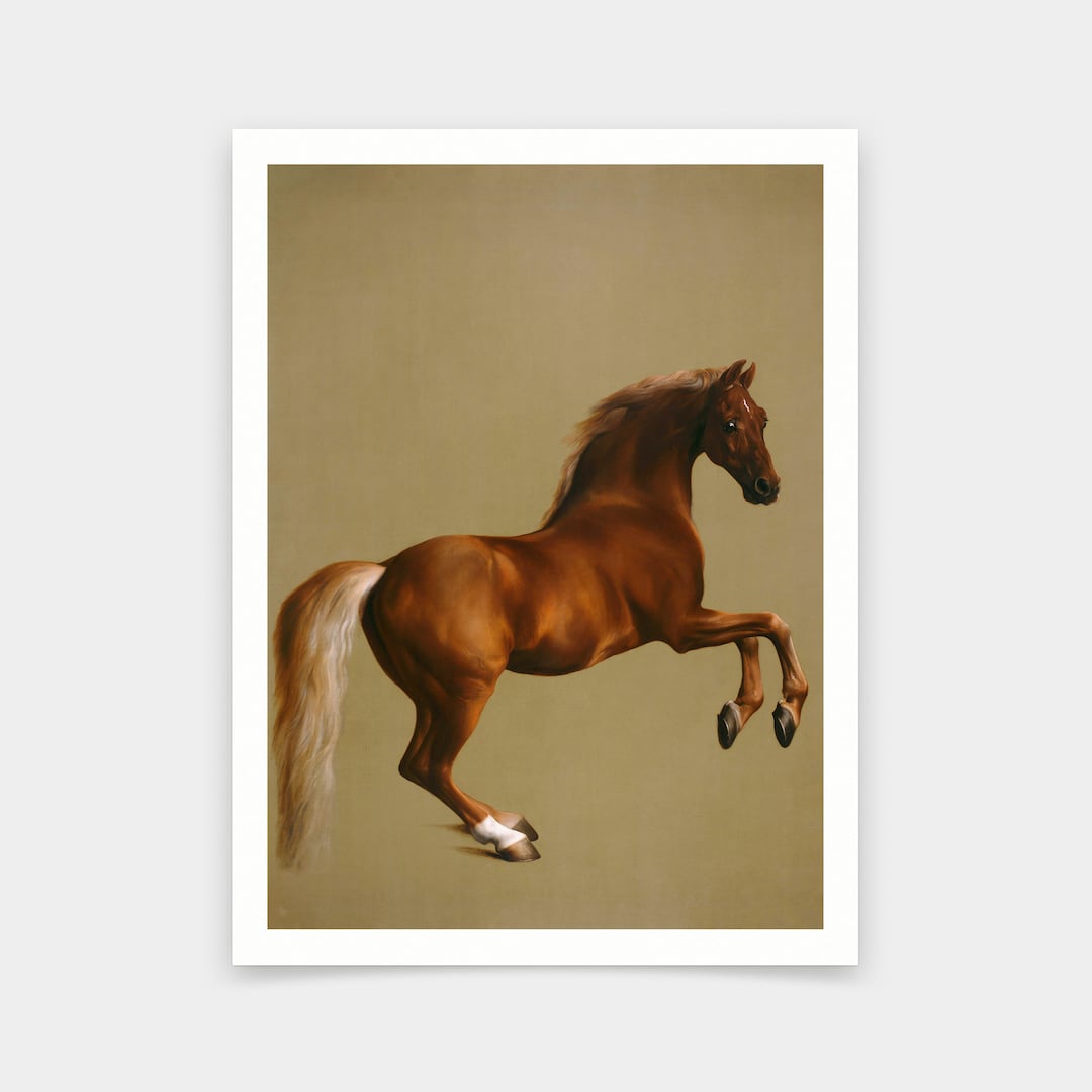George Stubbs,whistlejacket,horse Portrait,equestrian Wall Art,horse ...