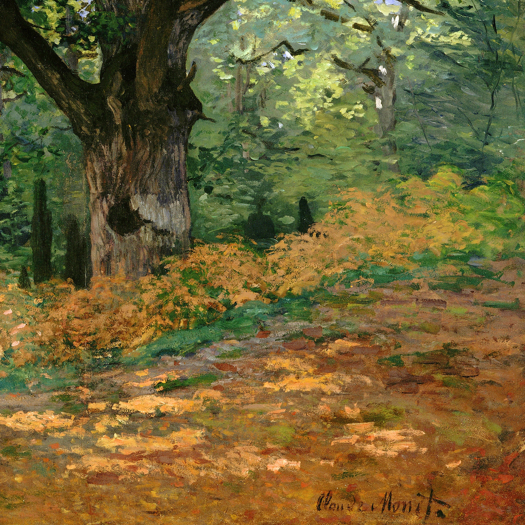 Claude Monet,bodmer Oak, Fontainebleau Forest, 1865,art Prints,vintage ...