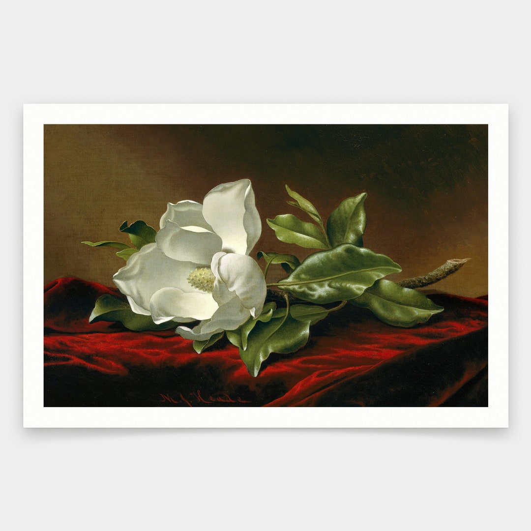 Martin Johnson Heade,magnolia Grandiflora,art Prints,vintage Art,canvas ...
