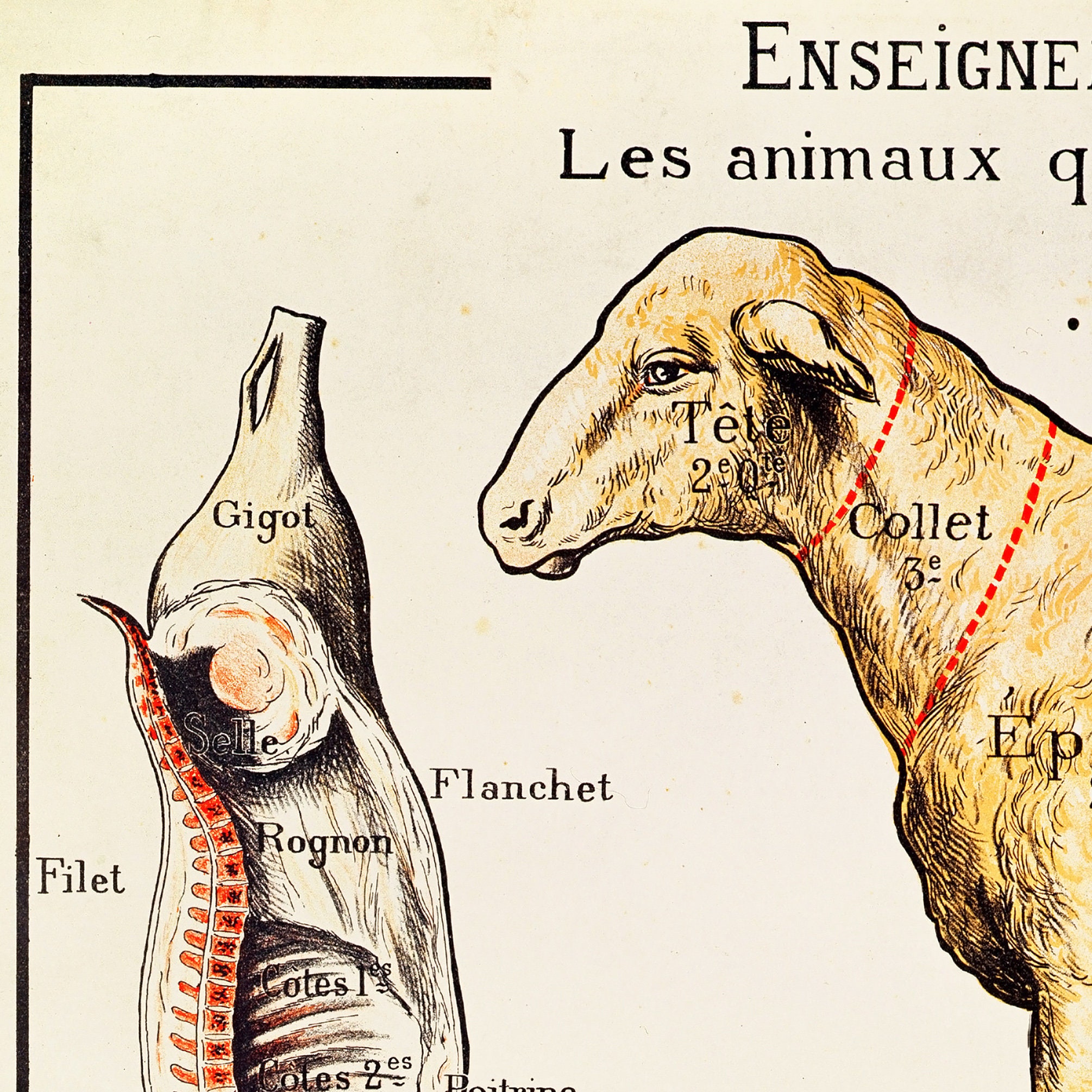 French School,mutton Drawing,art Prints,vintage Art,canvas Wall Art ...