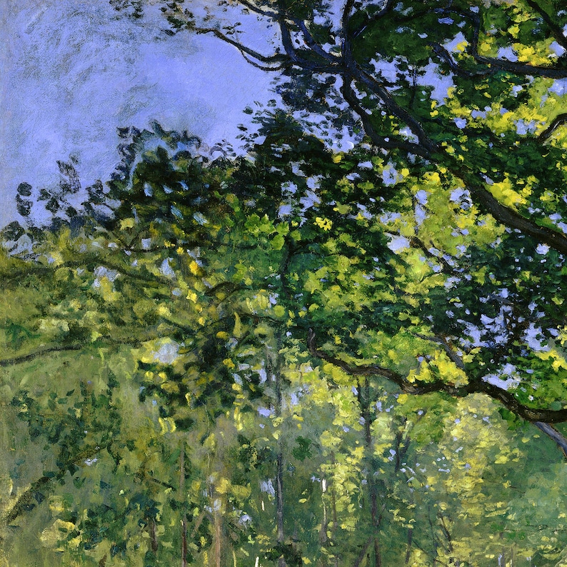 Claude Monet,bodmer Oak, Fontainebleau Forest, 1865,art Prints,vintage ...