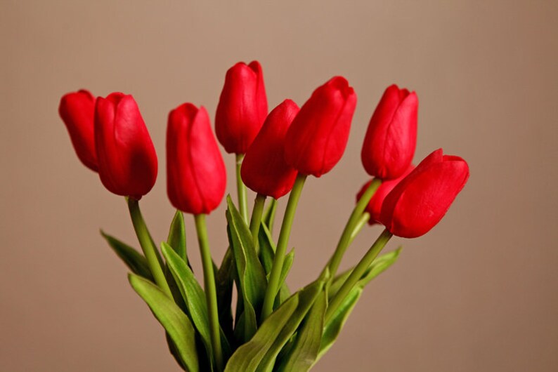 13.4'' Real Touch Latex Tulips for Artificial Flower Arrangements ...