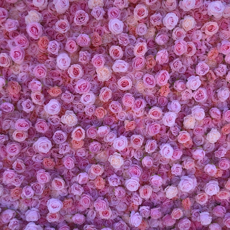 3D Roll up Flower Wall Wedding Party Photo Backdrop Pink Rose Peony ...