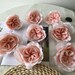 Blush English Cabbage Roses Head in High Silk Material,artificial ...