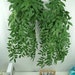 Simulation Flowers Wholesale Simulation Willow Leaves Wall - Etsy