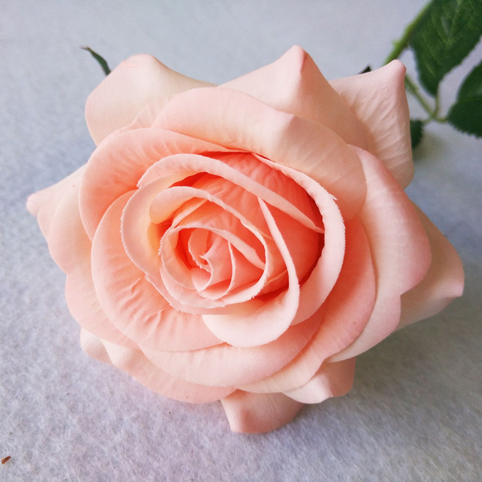 20pcs Champagne Real Touch Rose, Wedding Flowers Roses Fake Flowers for ...