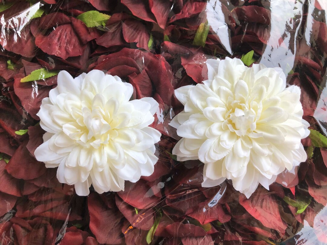 10-100pcs Wholesale Ivory Dahlia Flowers ,white Dahila Head Only for ...