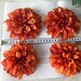 Wholesale Rust Orange Dahlia Flowers ,dusty Blue Dahila Head for ...