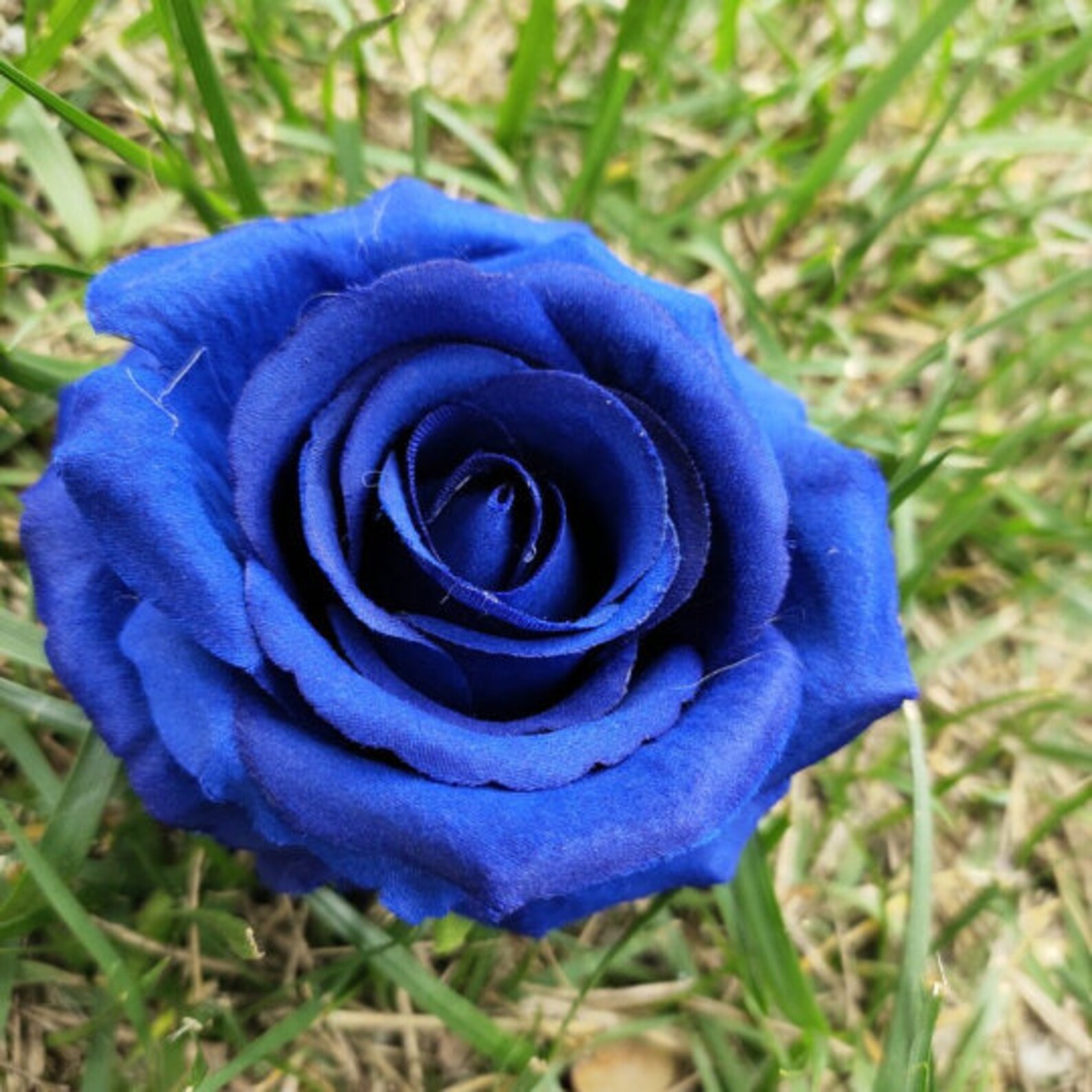 10-100pcs Royal Blue Roses Burgundy Velvet Rose Nude Artificial Big ...
