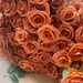 10pcs Orange Terracotta Rose With Long Stems 45cm in Length ...