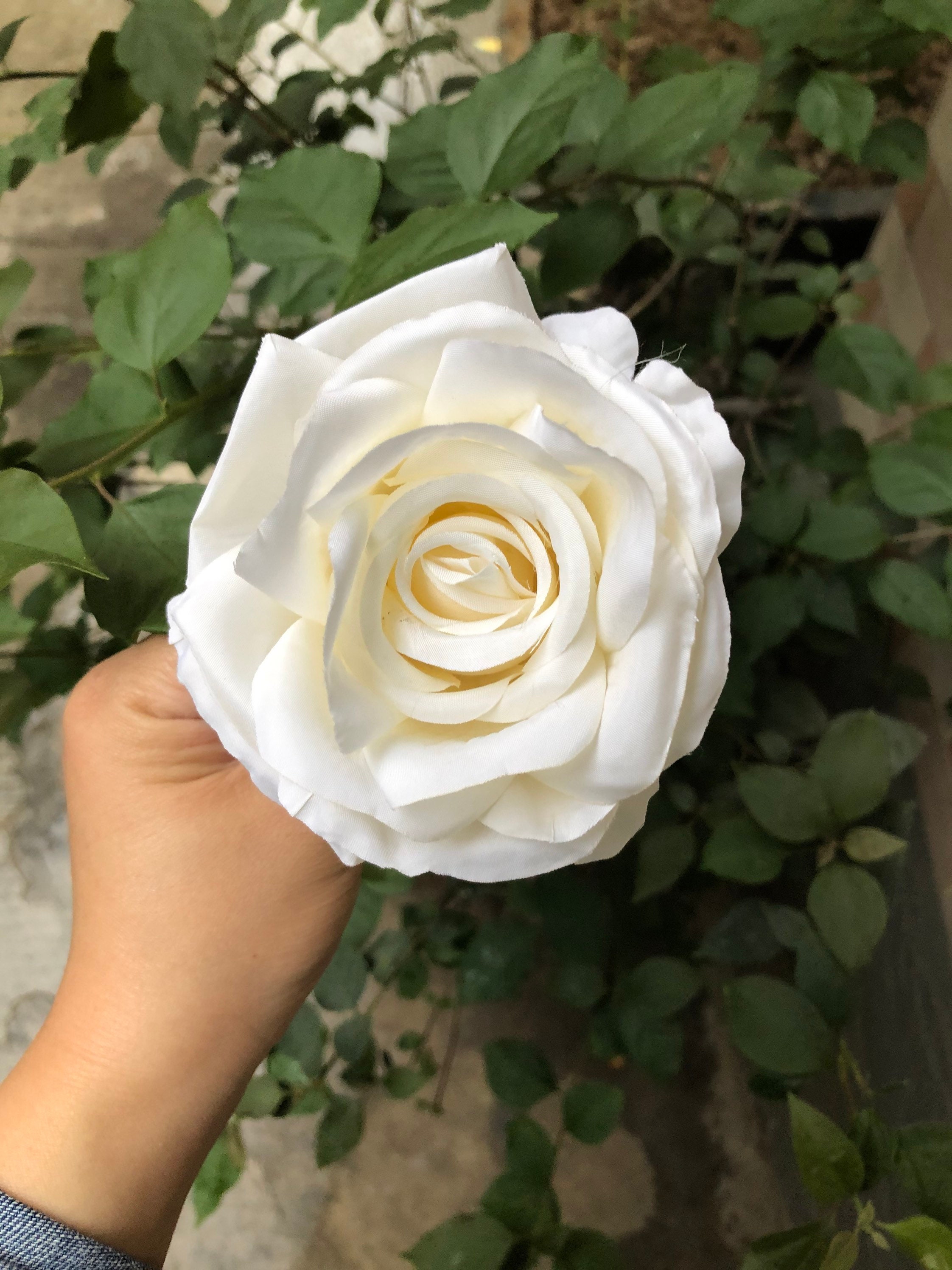 Artificial Ivory Roses Ivory Rose Head Wholesale Fake Roses | Etsy