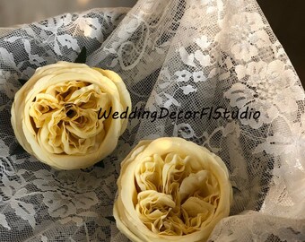 Blush English Cabbage Roses Head in High Silk | Etsy
