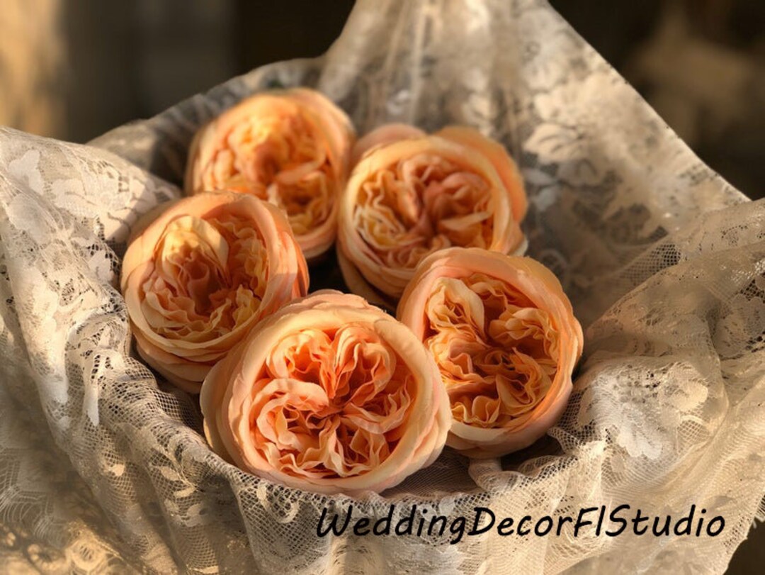 Artificial Peach Roses, Peach Rose Head Wholesale, Fake Roses Head ...