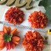 Wholesale Rust Orange Dahlia Flowers ,dusty Blue Dahila Head for ...