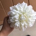 Wholesale Rust Orange Dahlia Flowers ,dusty Blue Dahila Head for ...