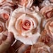 10-100pcs Burnt Orange Rose Artificial Rose Heads, 9cm Rust Orange ...