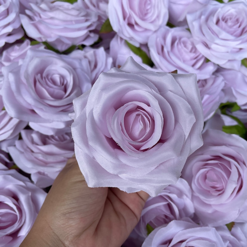 Lavender Blush - Etsy