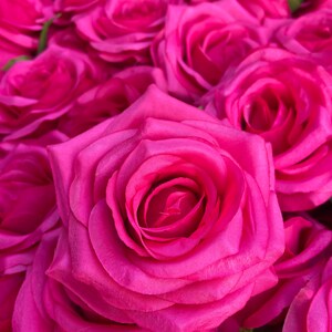 10-100pcs Hot Pink Artificial Rose Heads, 9cm High Quality Roses Head ...
