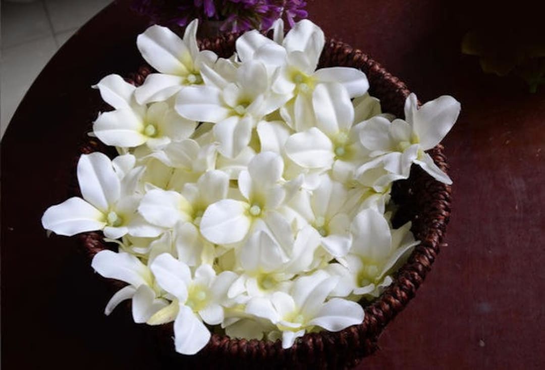 20-100pcs Ivory Orchids Flowers Head, Pink Island Dendrobium Orchid ...
