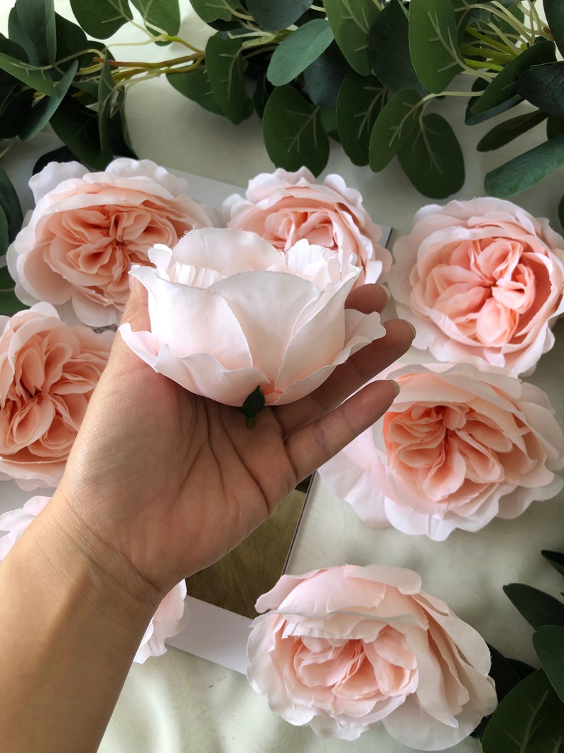 Blush English Cabbage Roses Head in High Silk - Etsy