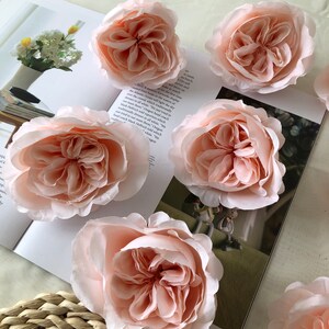 Blush English Cabbage Roses Head in High Silk Material,artificial ...