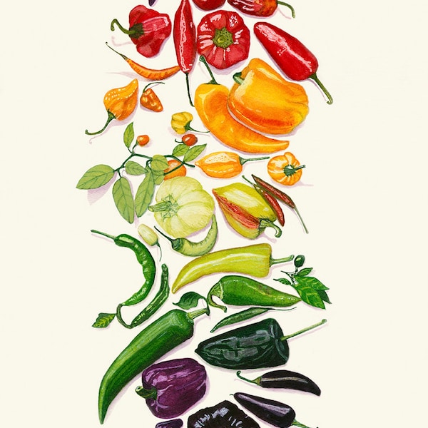 Pepper Painting - Etsy