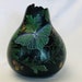 Luna Moth Gourd - Etsy